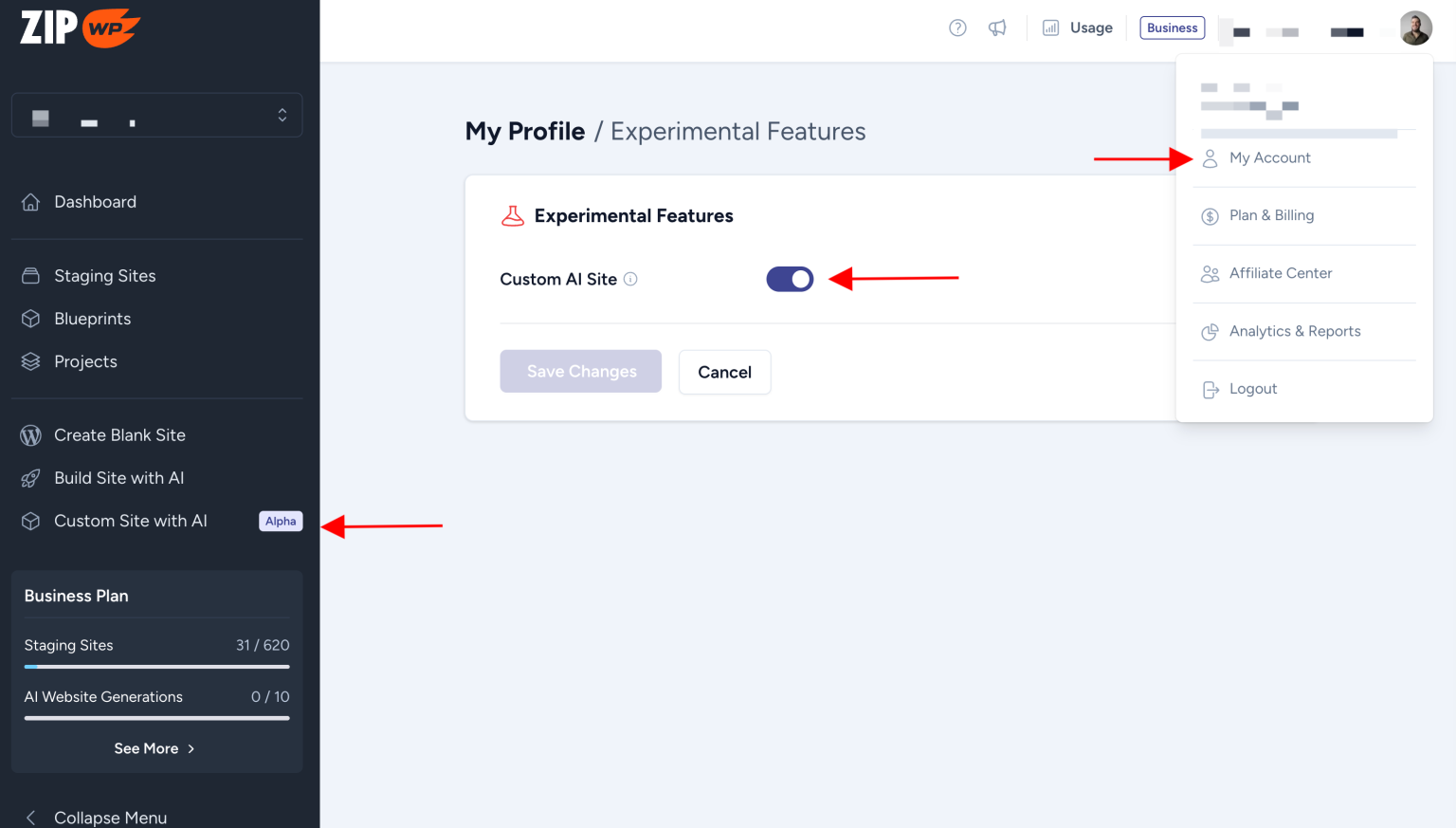 How to access Experimental Features? » ZipWP
